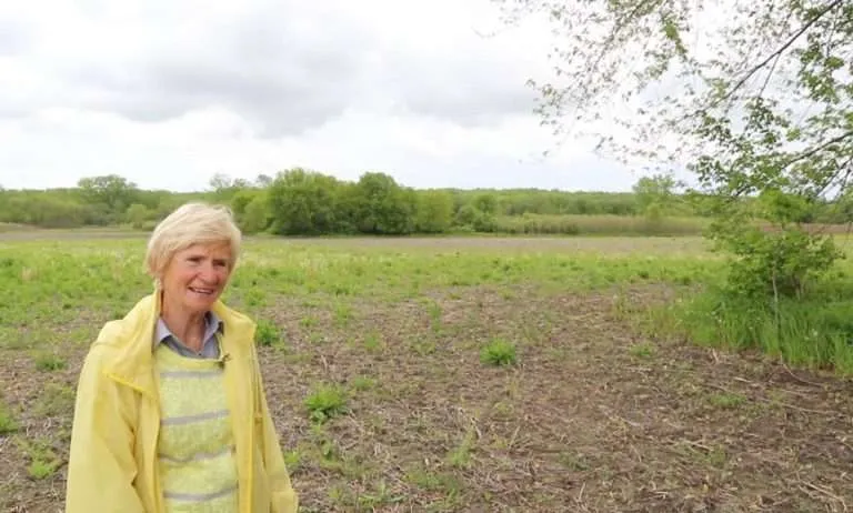 Openlands Projects | Openlands