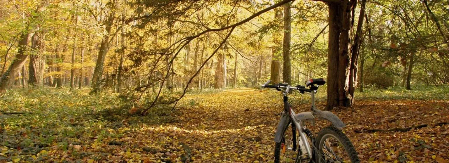 ComEd Green Region Grant | Openlands