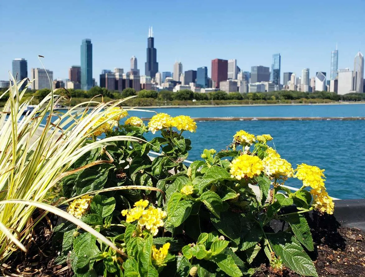 Who We Are | Openlands