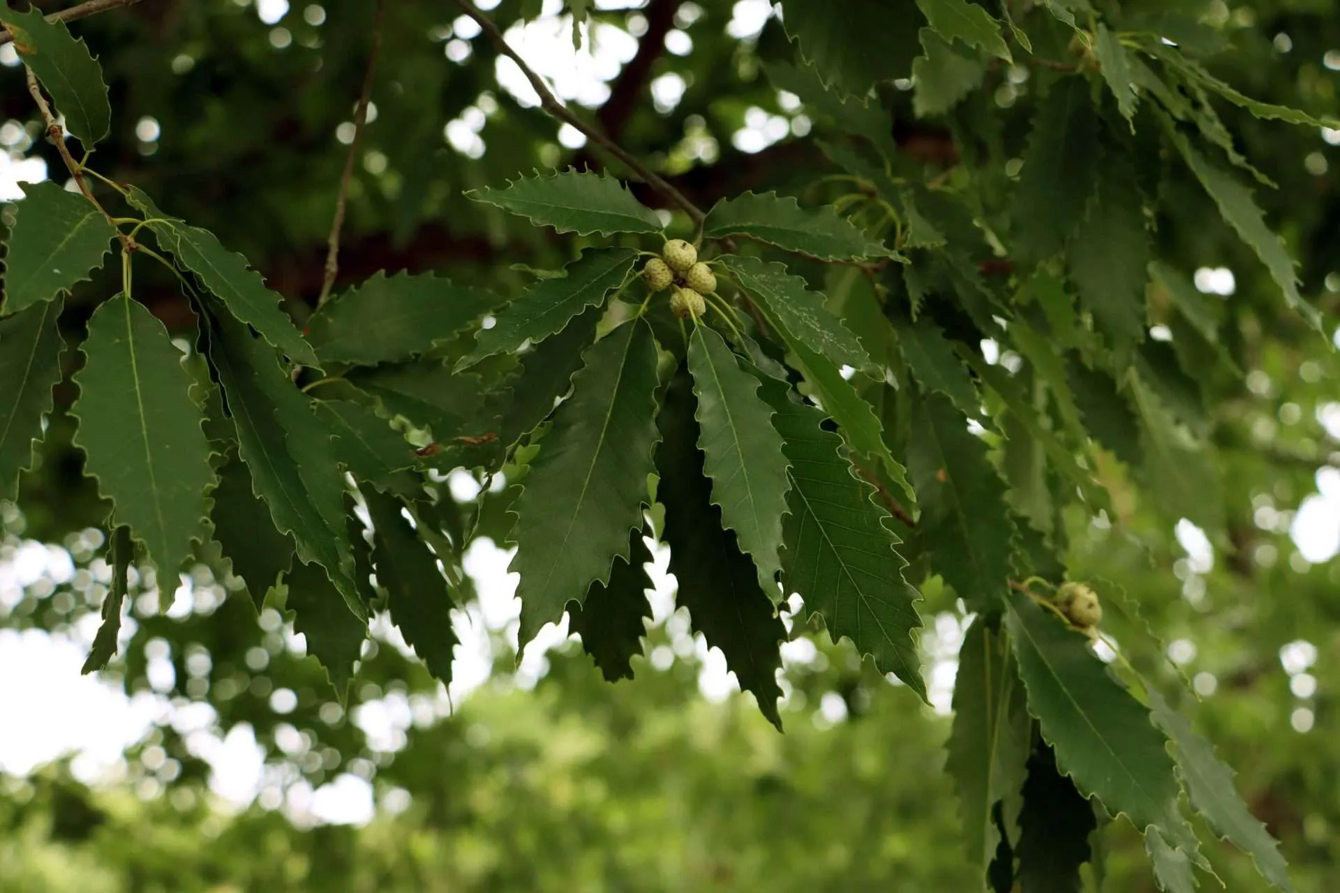 Improving Waterways and Water Quality | Openlands