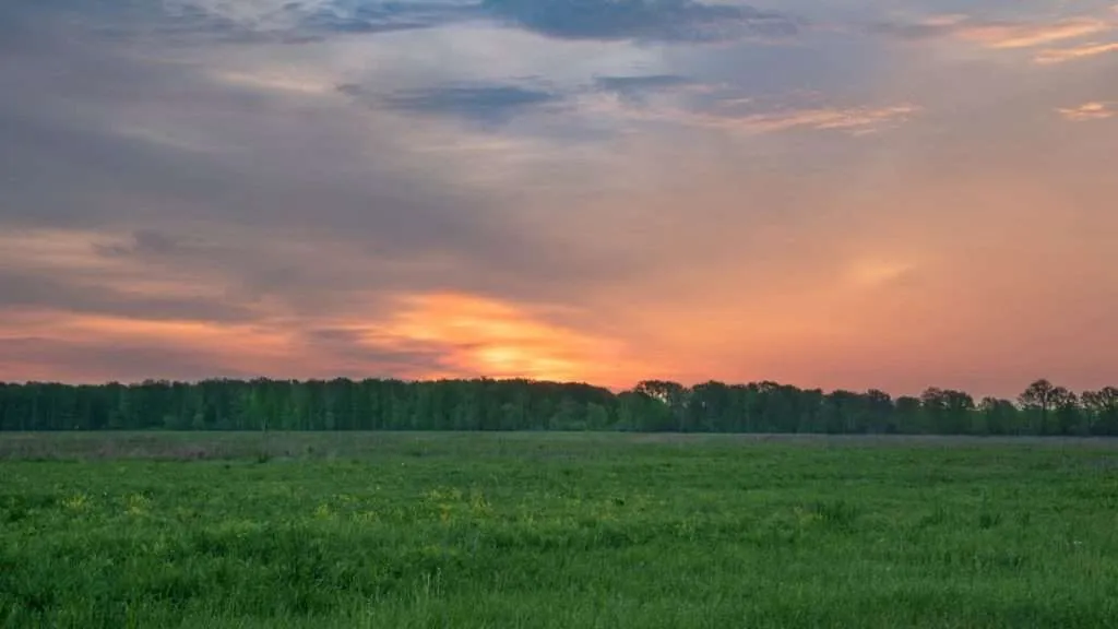 LaBagh Woods | Openlands