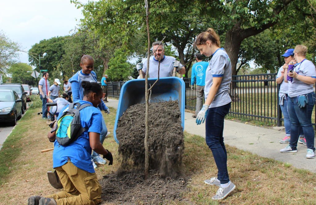 How to Get Trees Planted In Your Chicago Neighborhood | Openlands