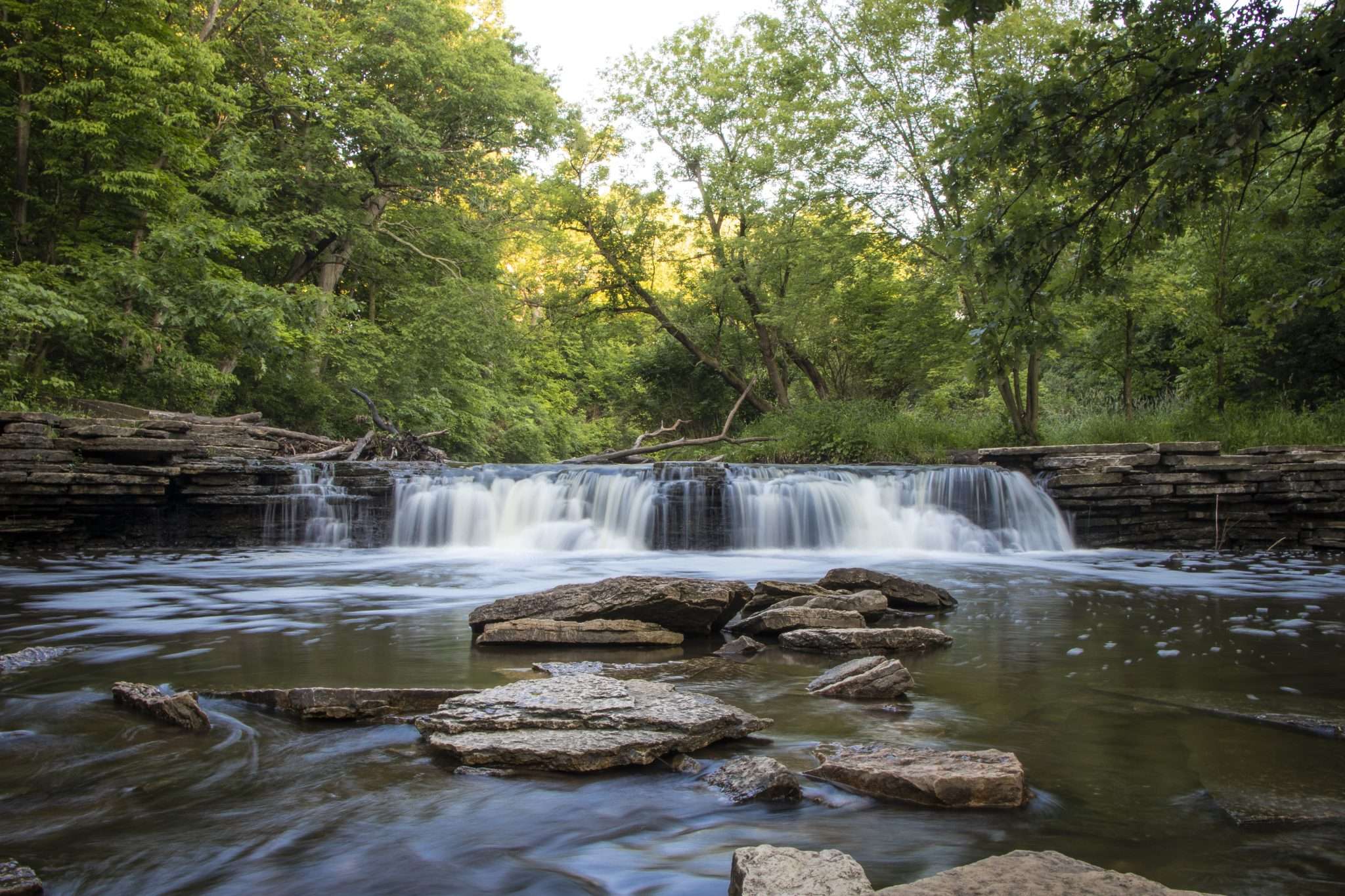 Have You Discovered Waterfall Glen? | Openlands