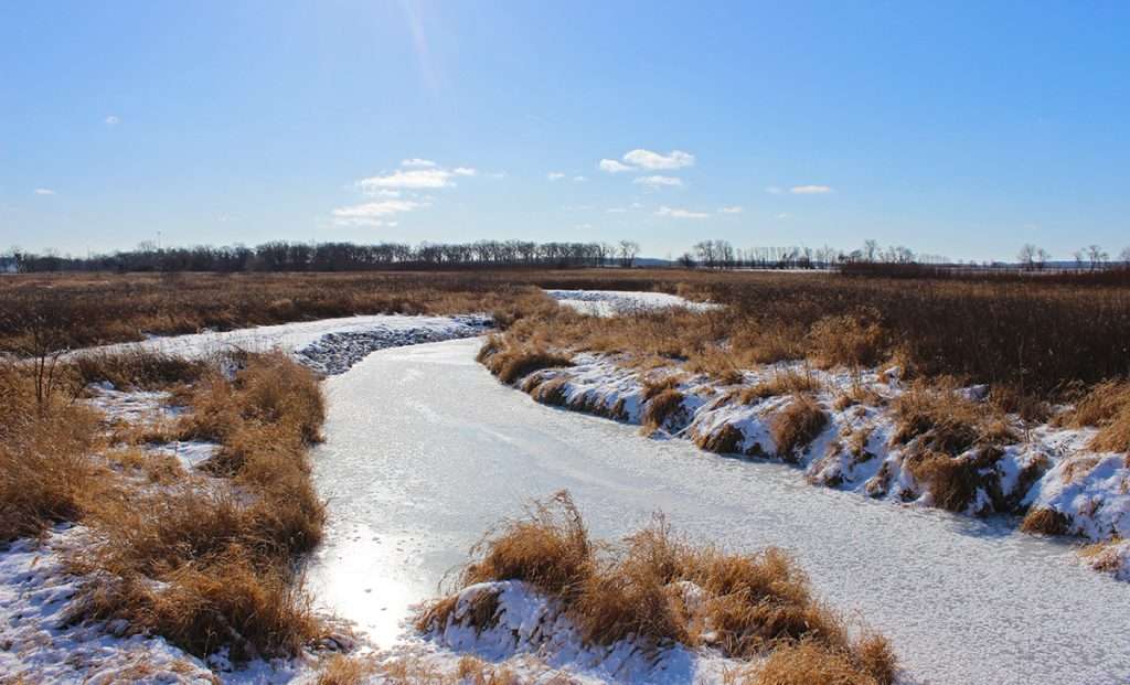 A Land Protection Success for Hackmatack National Wildlife Refuge ...
