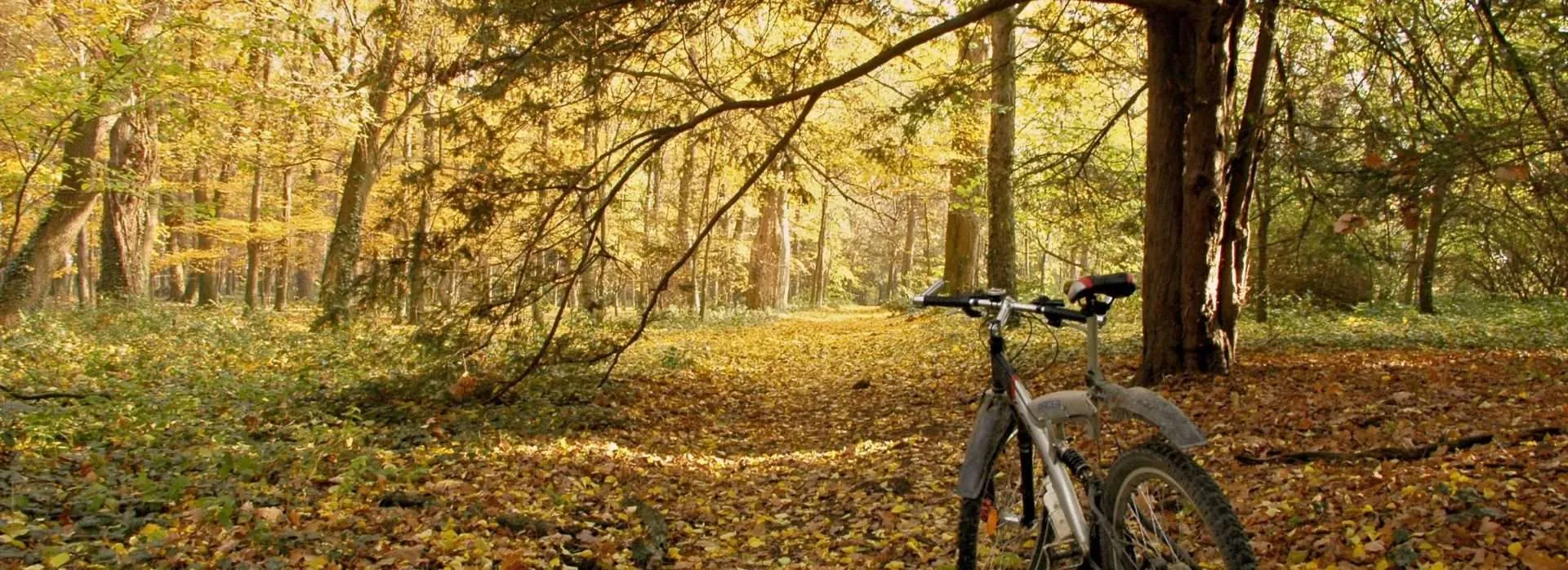 The American Discovery Trail | Openlands