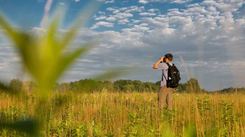 LaBagh Woods | Openlands