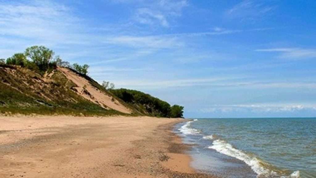 Pinhook Bog Upland Trail | Openlands
