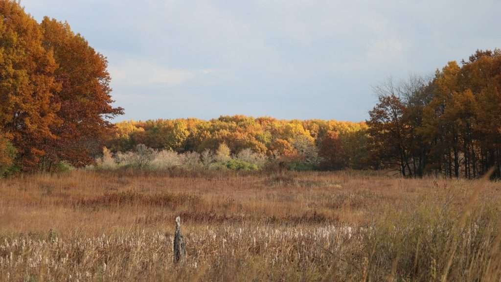 LaBagh Woods | Openlands
