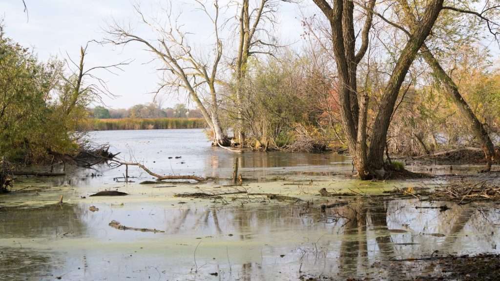 Three Oaks Recreation Area | Openlands
