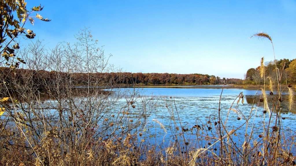 Ping Tom Memorial Park | Openlands