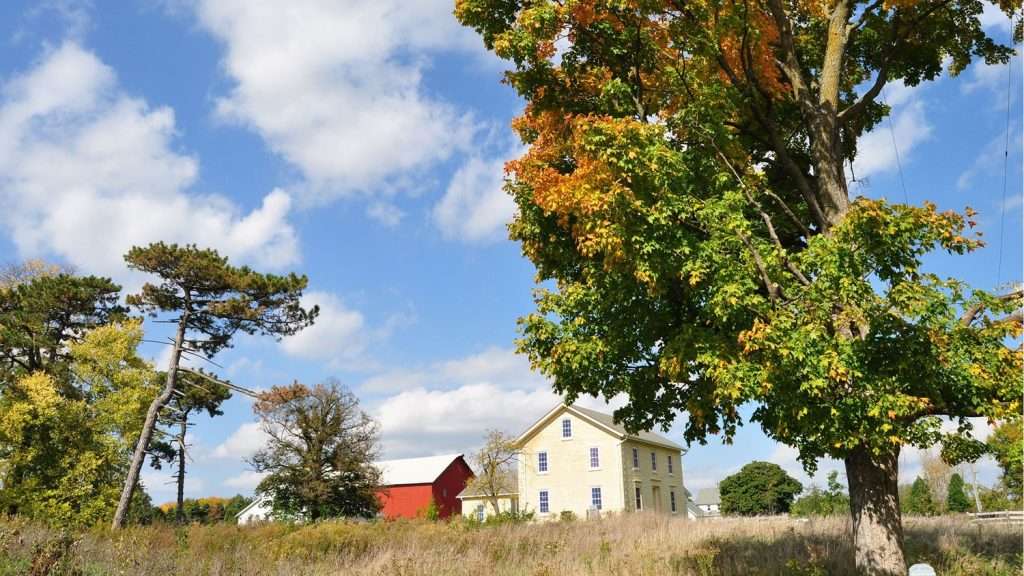 St. James Farm Forest Preserve | Openlands