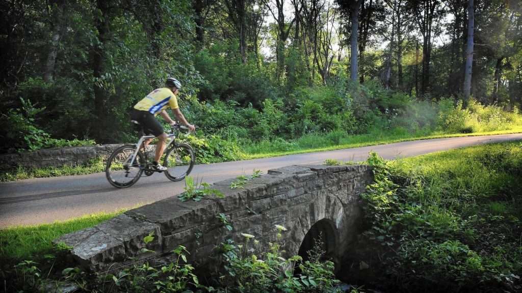 LaBagh Woods | Openlands