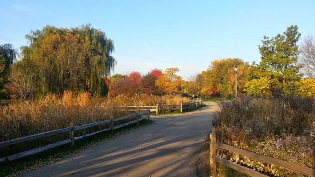 LaBagh Woods | Openlands