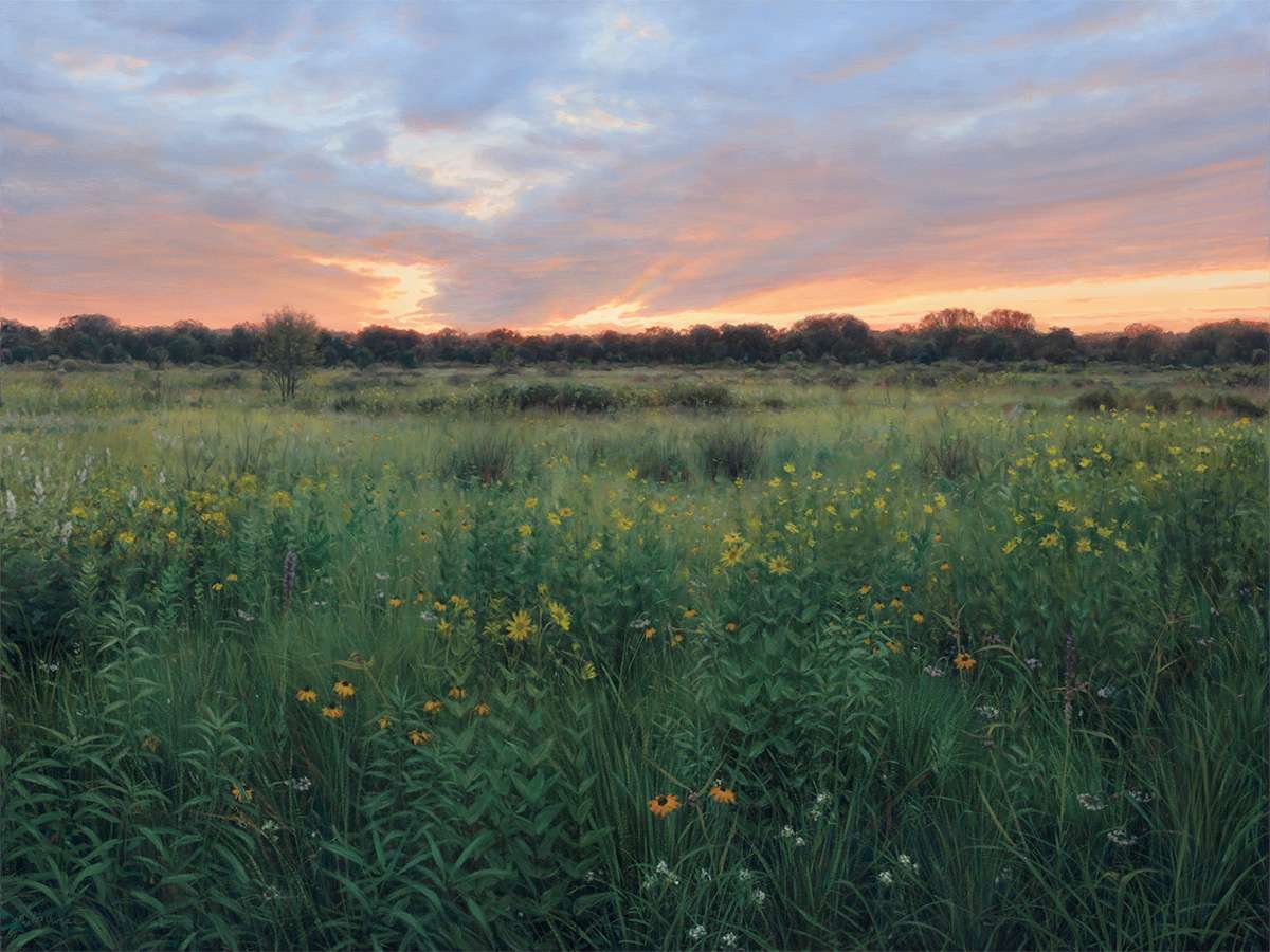 Chiwaukee Prairie | Openlands