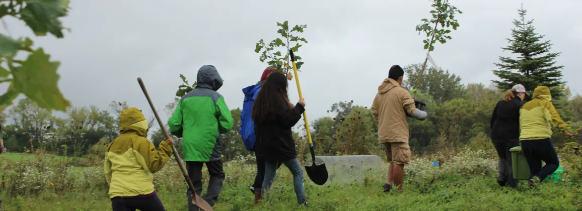 Hackmatack: Creating the Refuge | Openlands