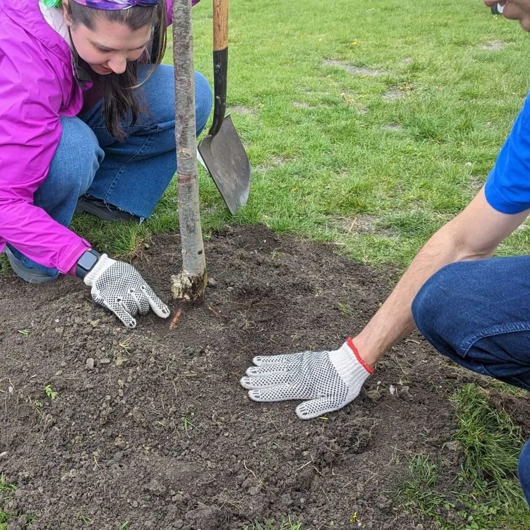 Growing the Tree Canopy | Openlands