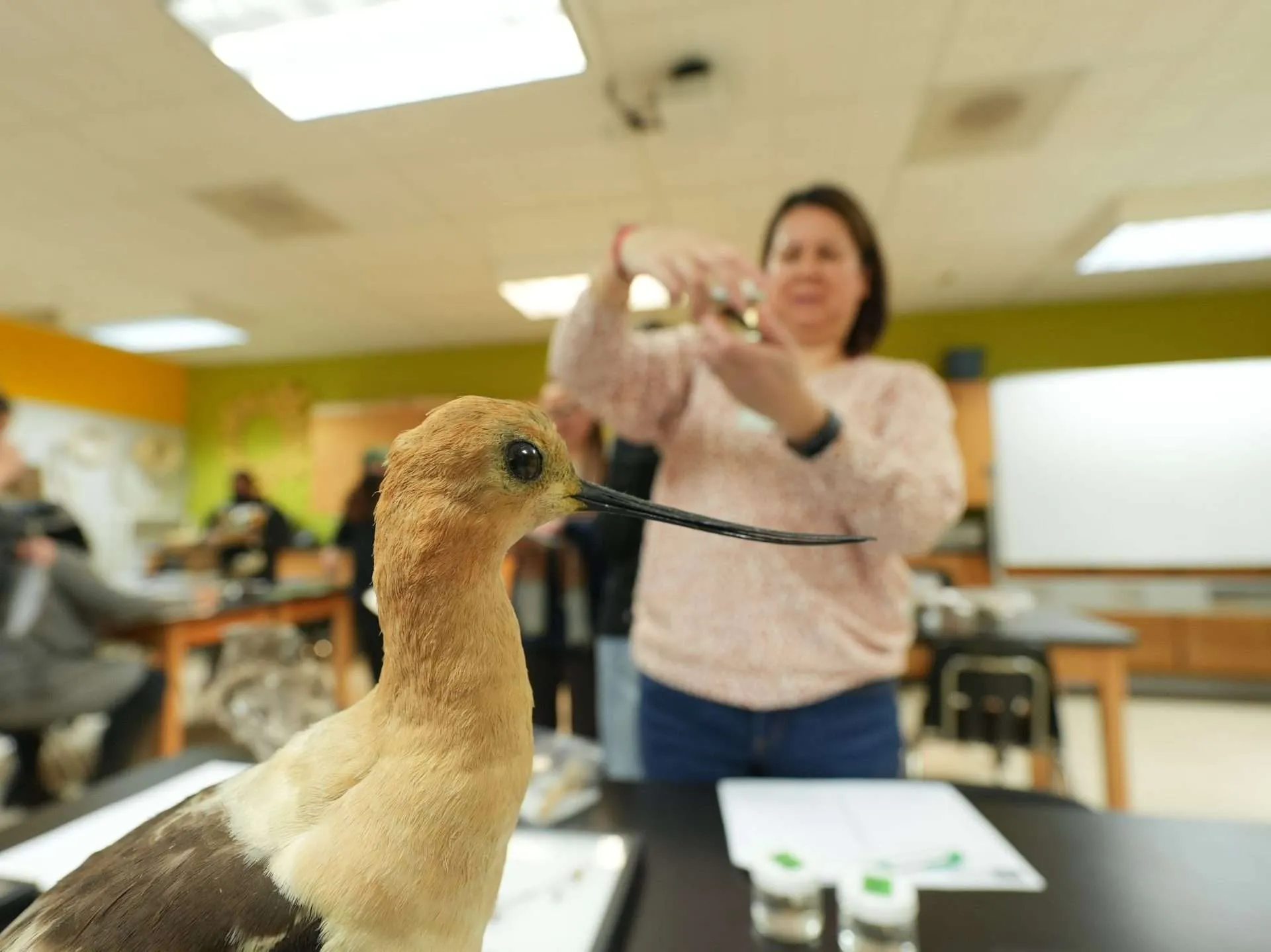 Empowering People and Communities | Openlands