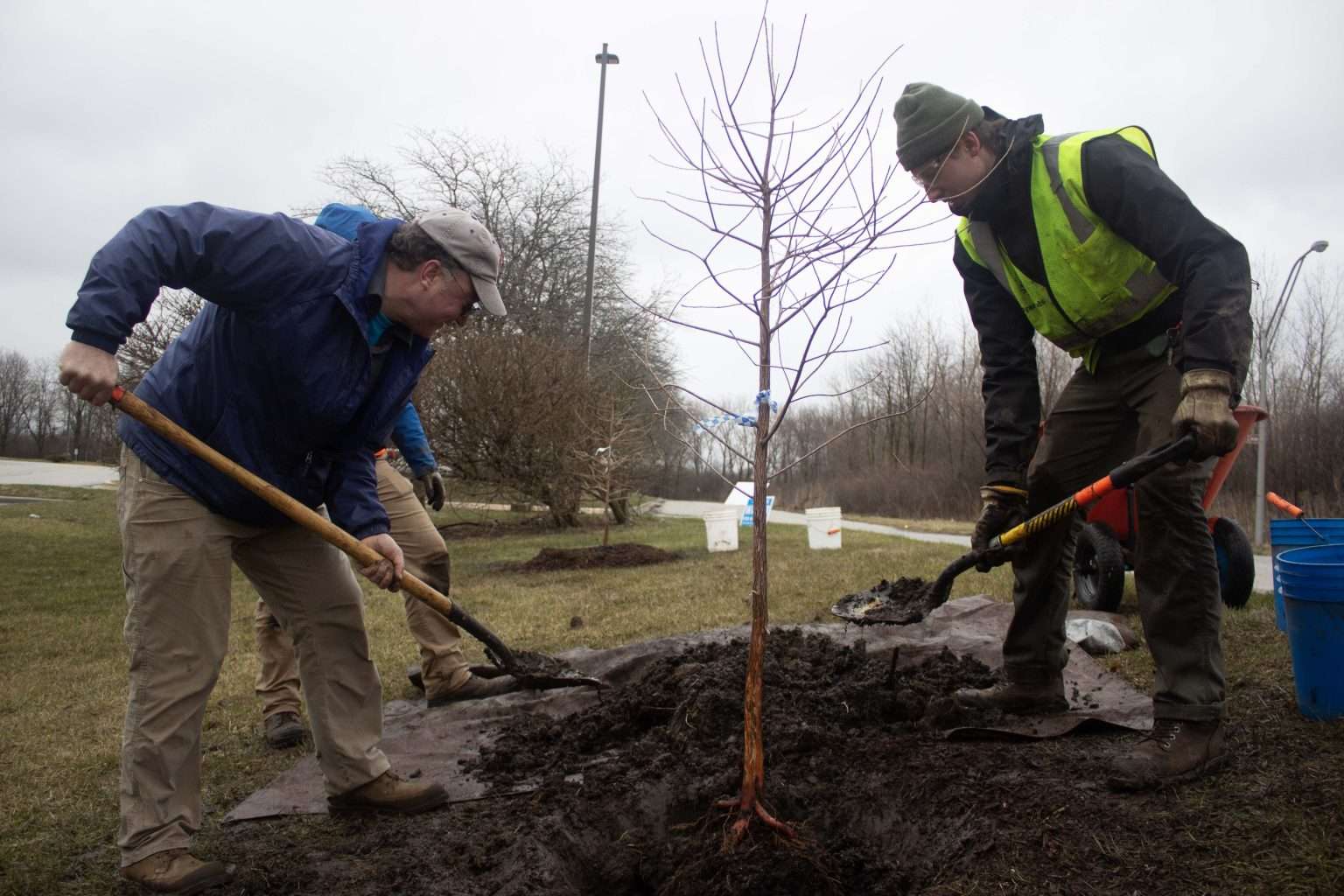 Openlands and Arbor Day Foundation will plant more than 130 trees in ...
