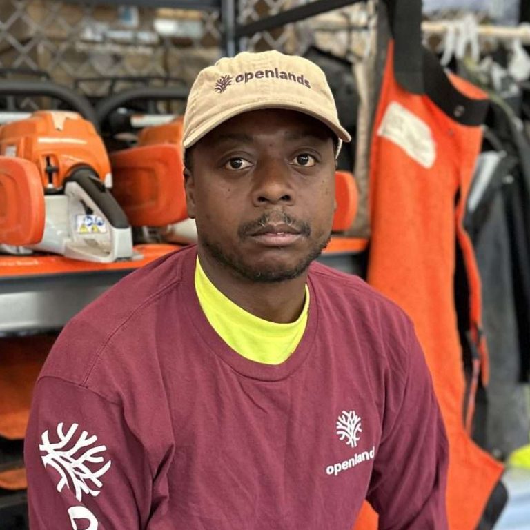 Openlands Arborist Registered Apprenticeship | Openlands